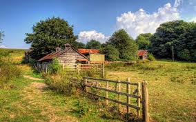 Farm Life – Beştepe Bloggers